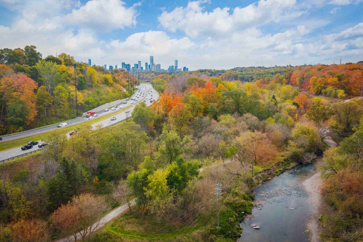 The Secrets of East York