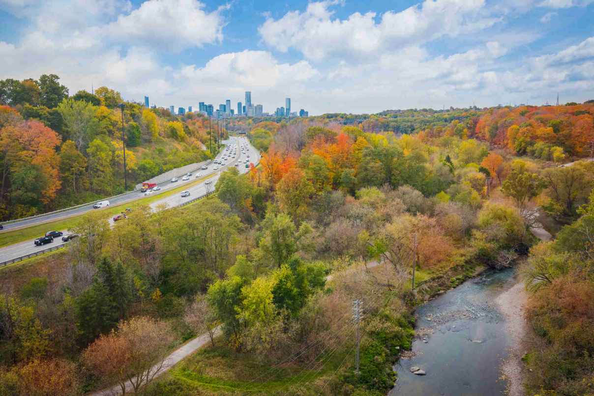 The Secrets of East York