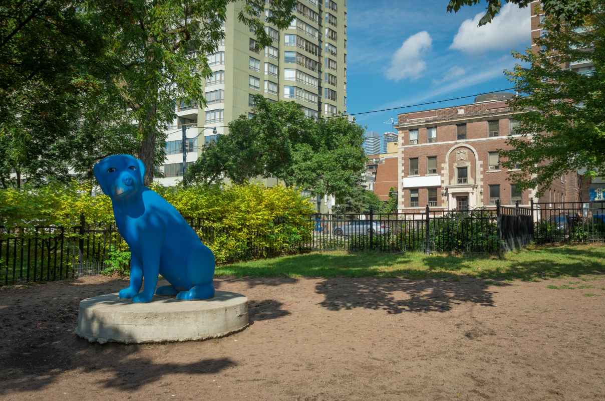 Dog-Friendly Neighbourhoods in Toronto