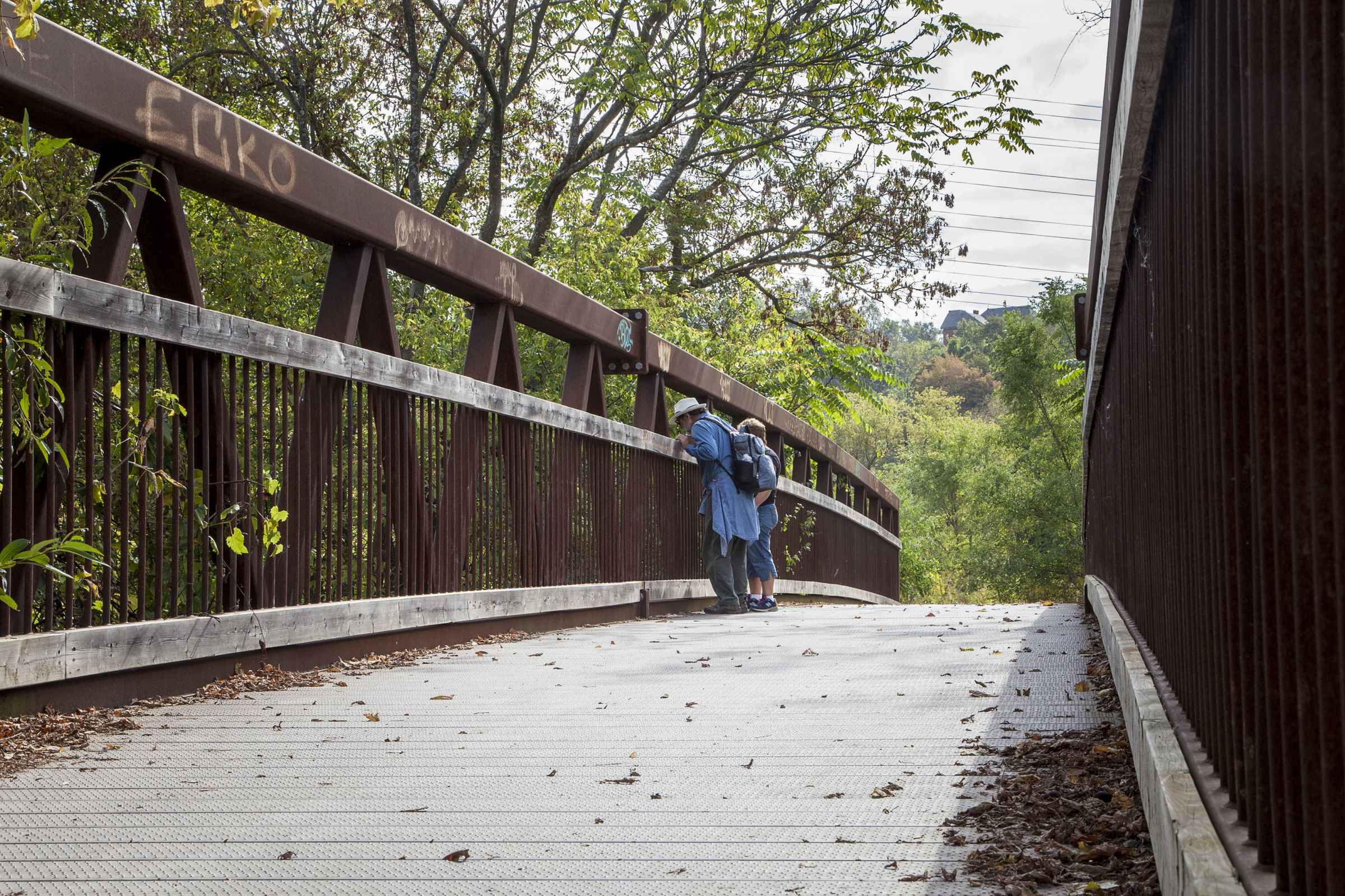 Explore the City: Hidden Nature Gems in Toronto Explore the City: Hidden Nature Gems in Toronto
