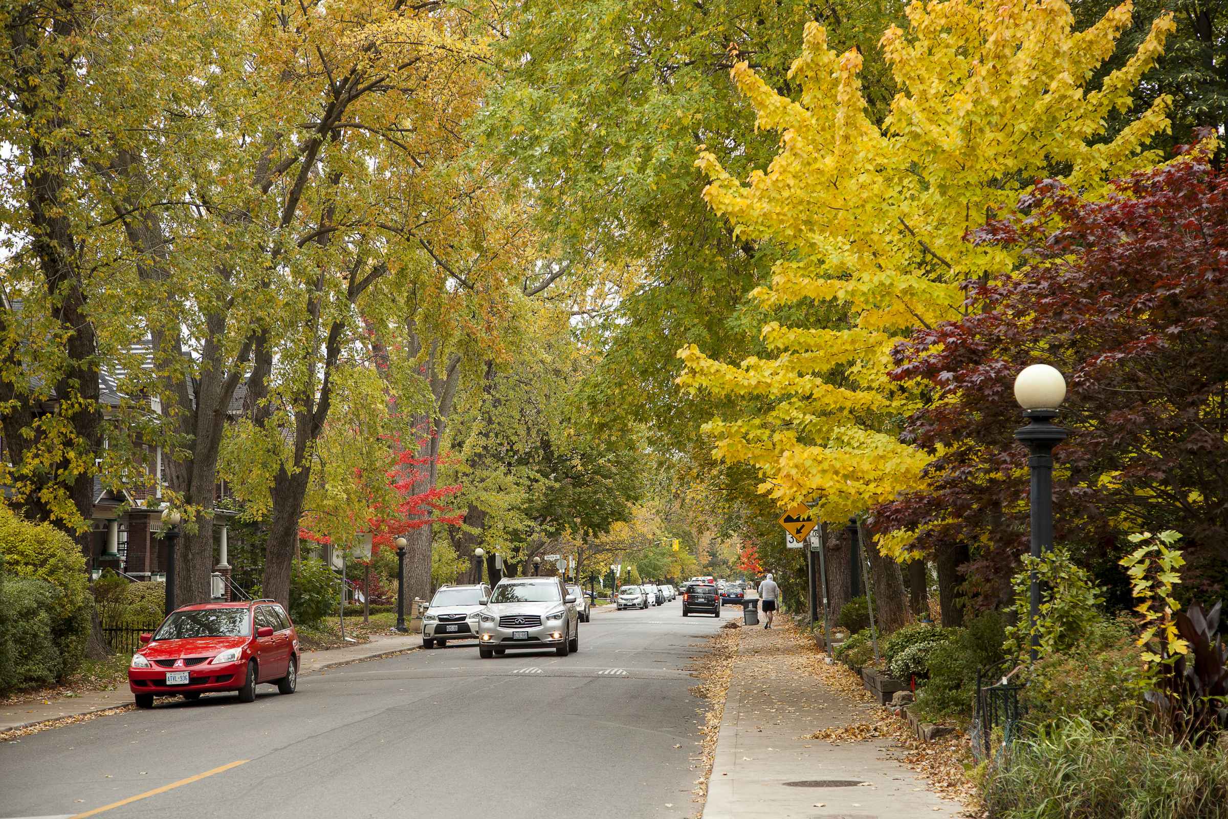 Prettiest Toronto Streets in Fall