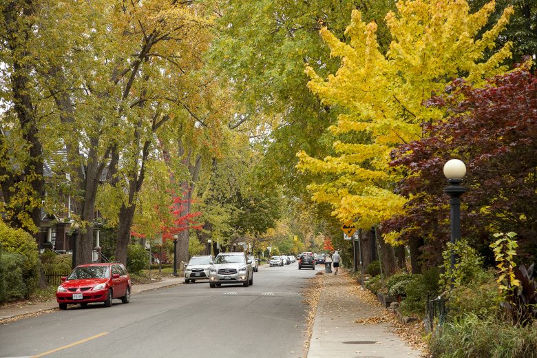 Prettiest Toronto Streets in Fall