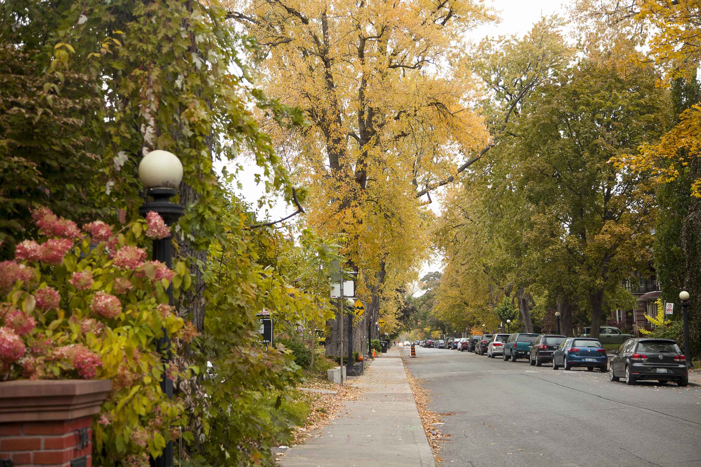 Prettiest Toronto Streets in Fall