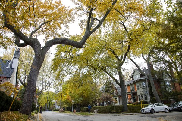 Prettiest Toronto Streets in Fall