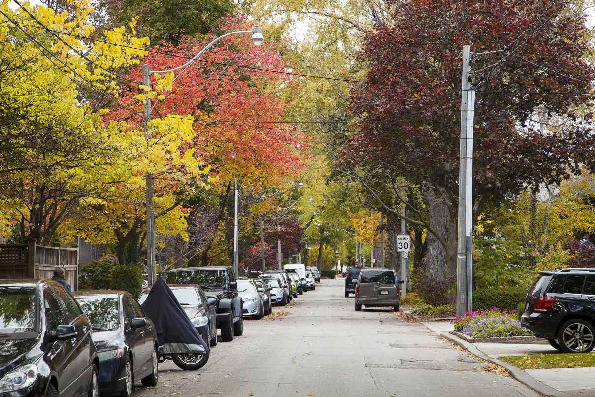Prettiest Toronto Streets in Fall