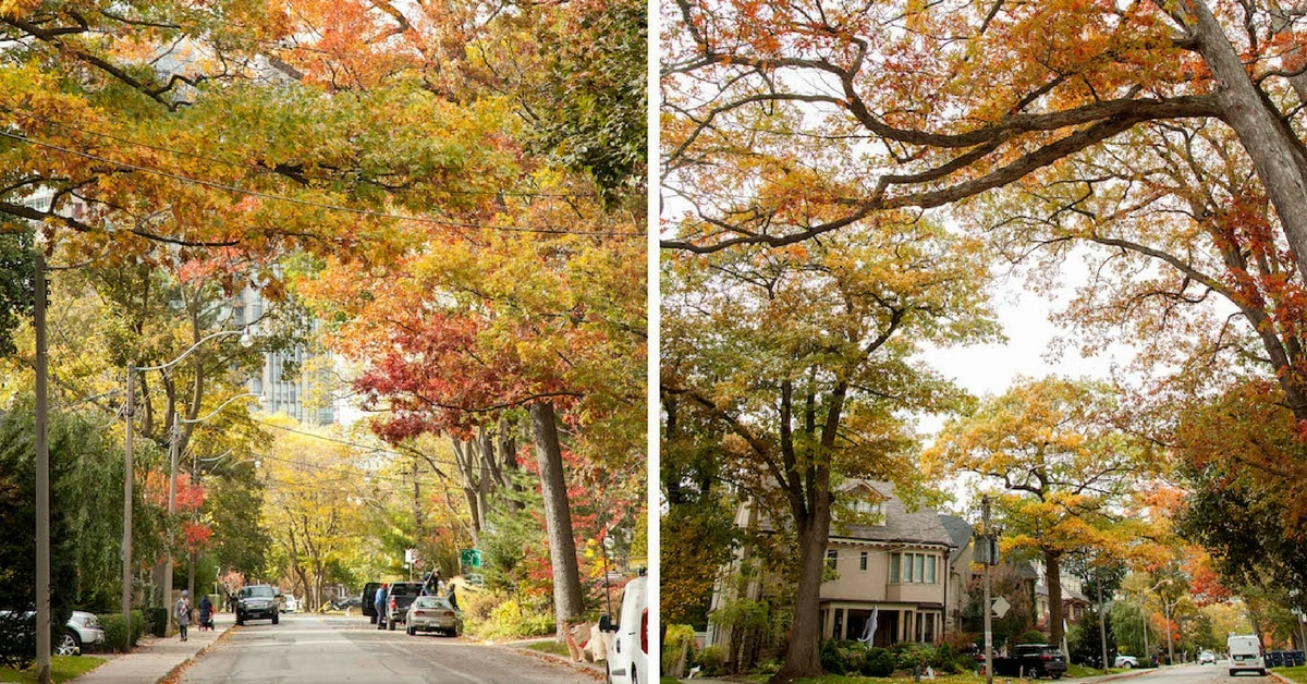 Prettiest Toronto Streets in Fall