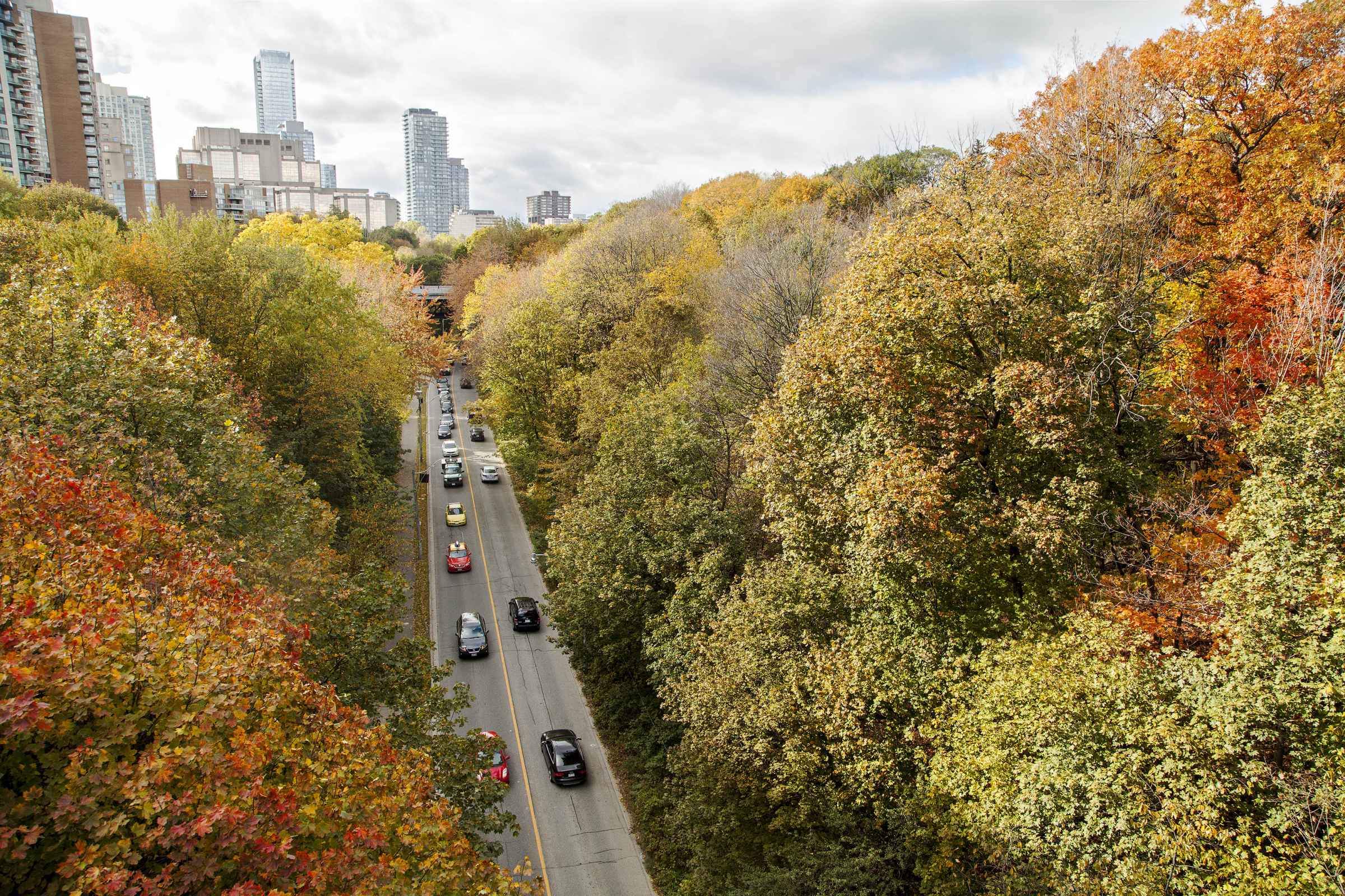 Prettiest Toronto Streets in Fall