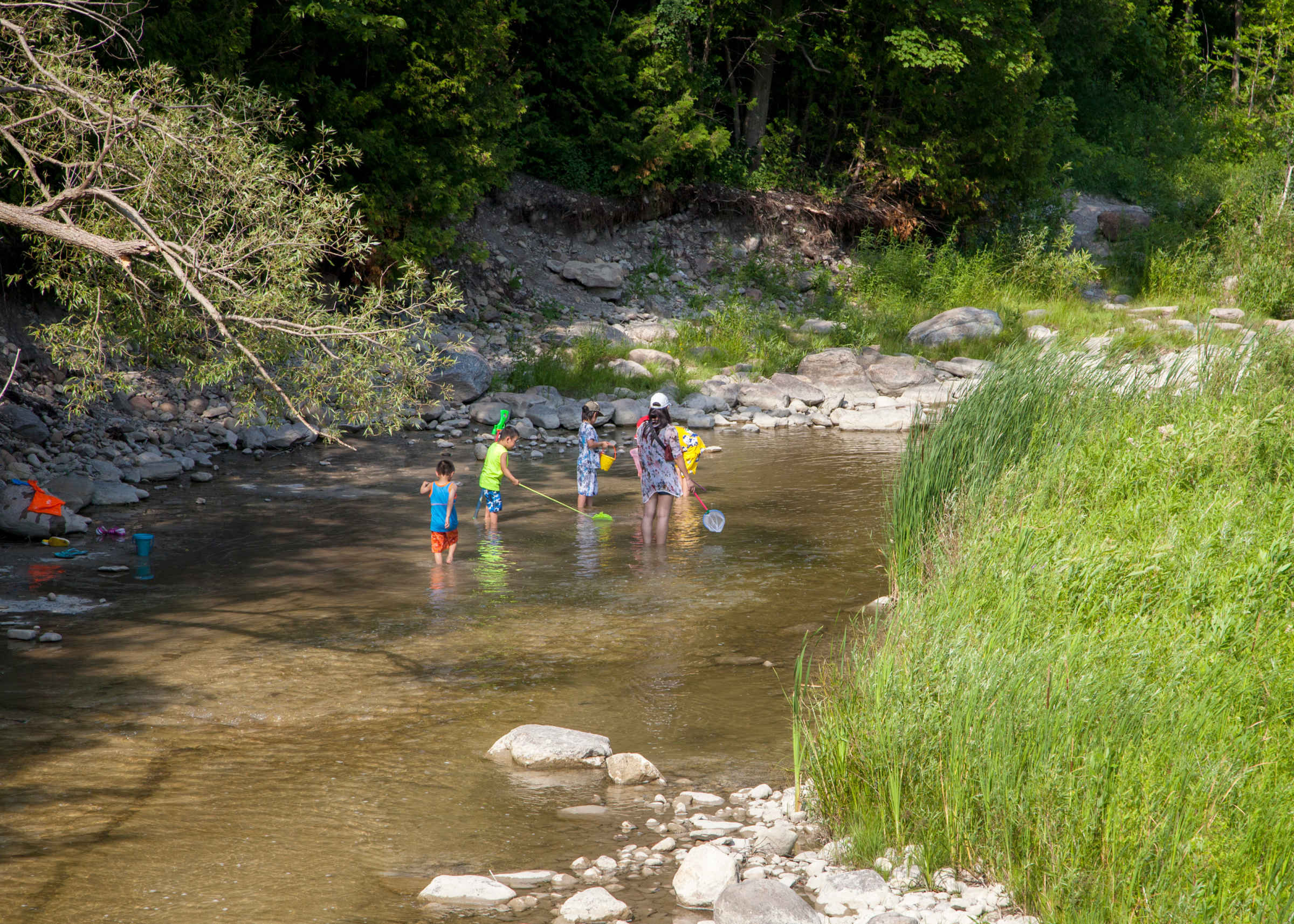 A Nature Day Trip From Toronto: Rouge Park