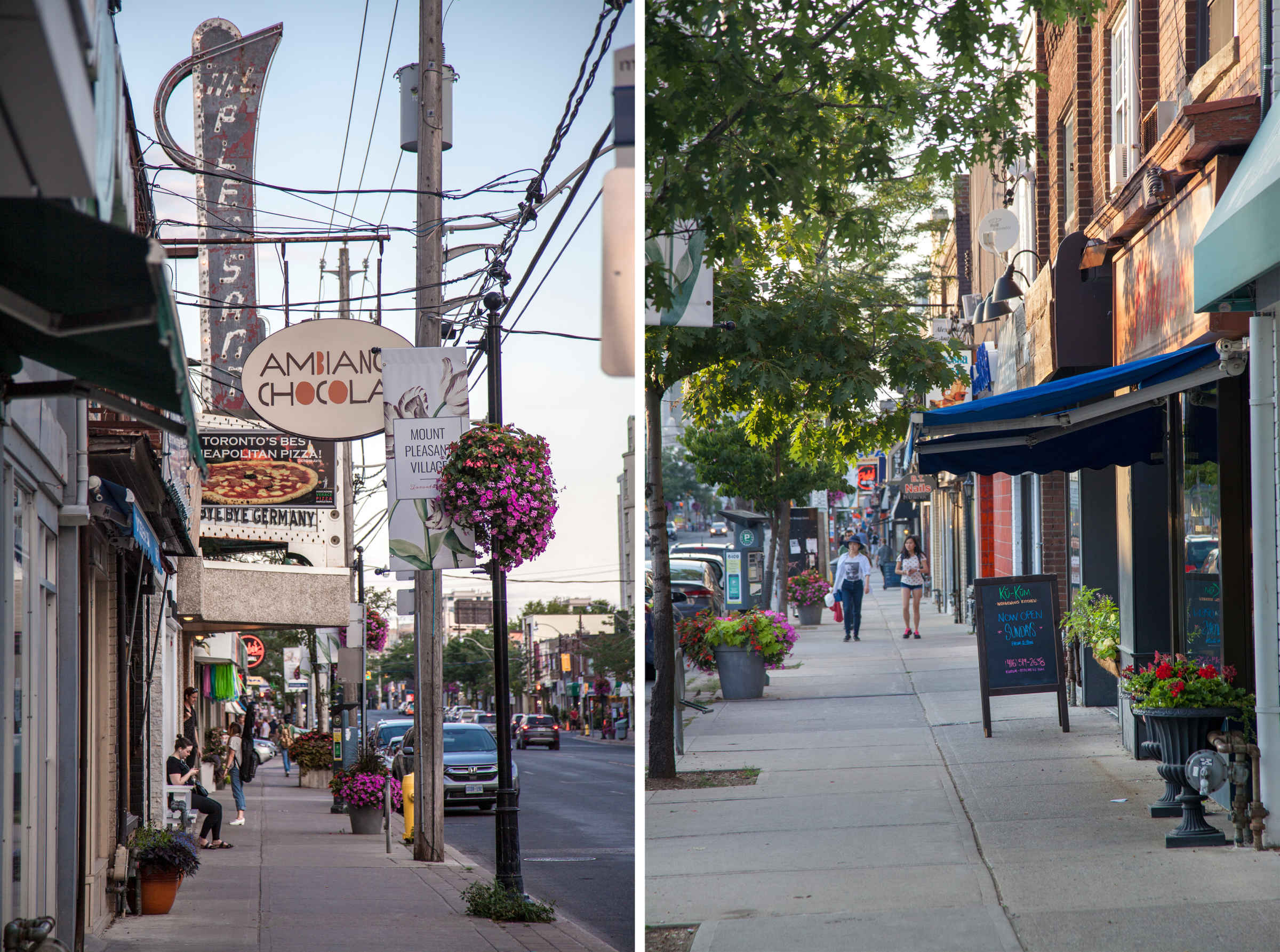 Davisville Village | The Julie Kinnear Team of Toronto Real Estate Agents