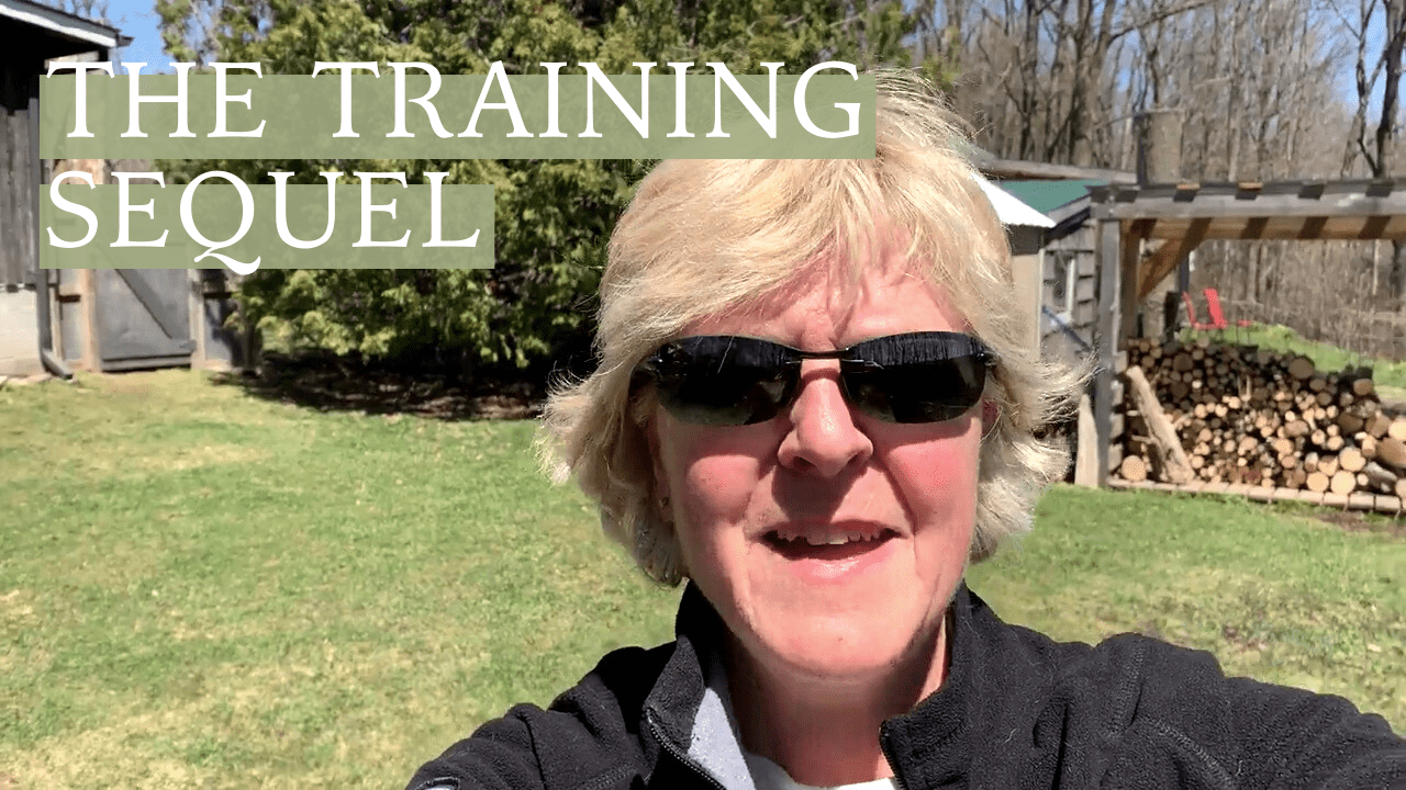 The Training Sequel