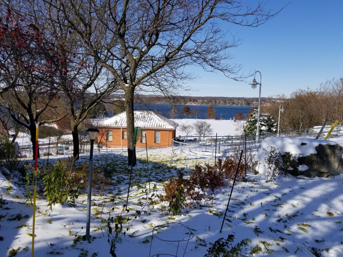 JKT's Favourite Things Friday - Hamilton Harbour